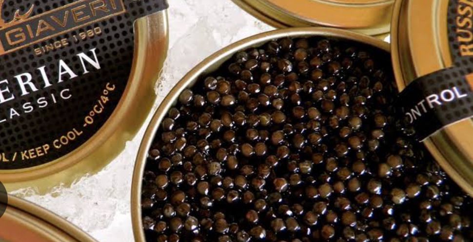 Konsumsi Siberian Caviar, Telur Ikan dari Sungai Siberia yang Ampuh ...